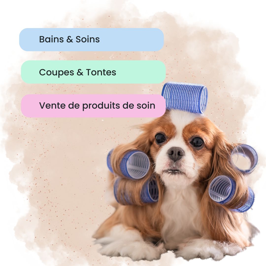Salon de Toilettage - Le clos du Bonheur